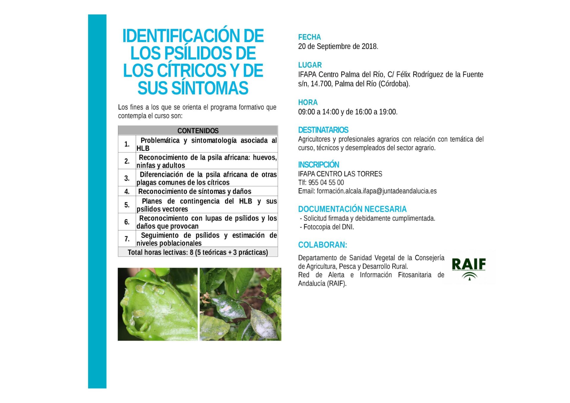 Curso formativo "Identificación de los psílidos de los citrícos y de ...